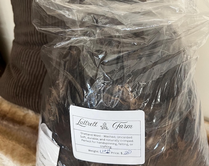 Raw Shetland Wool – Skirted, & Lightly Washed - Etsy