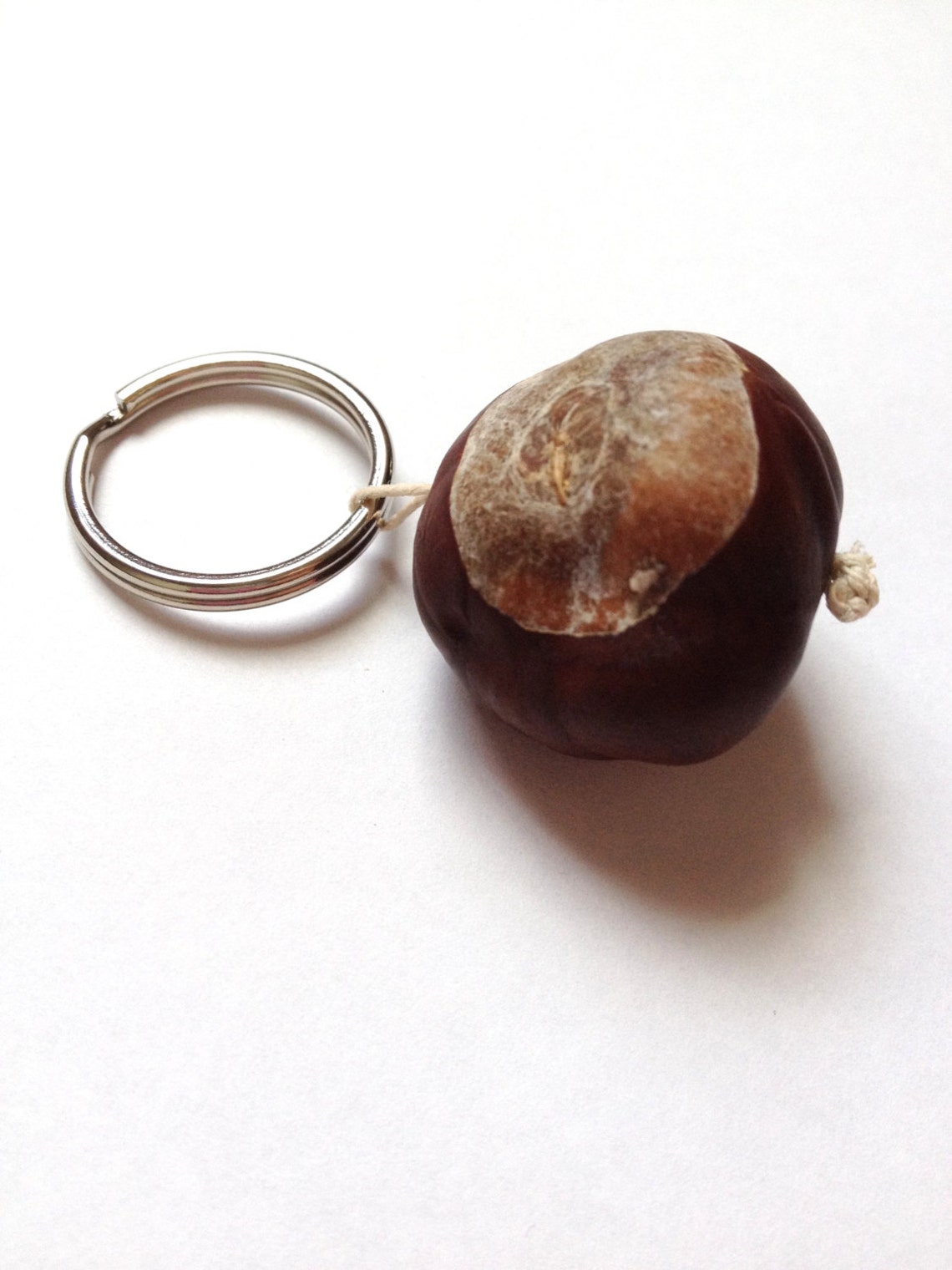 Lucky Buckeye Keychain; Ohio State Buckeyes - Etsy