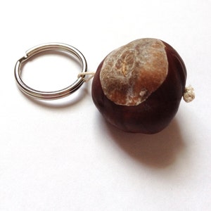 Lucky Buckeye Keychain; Ohio State Buckeyes - Etsy