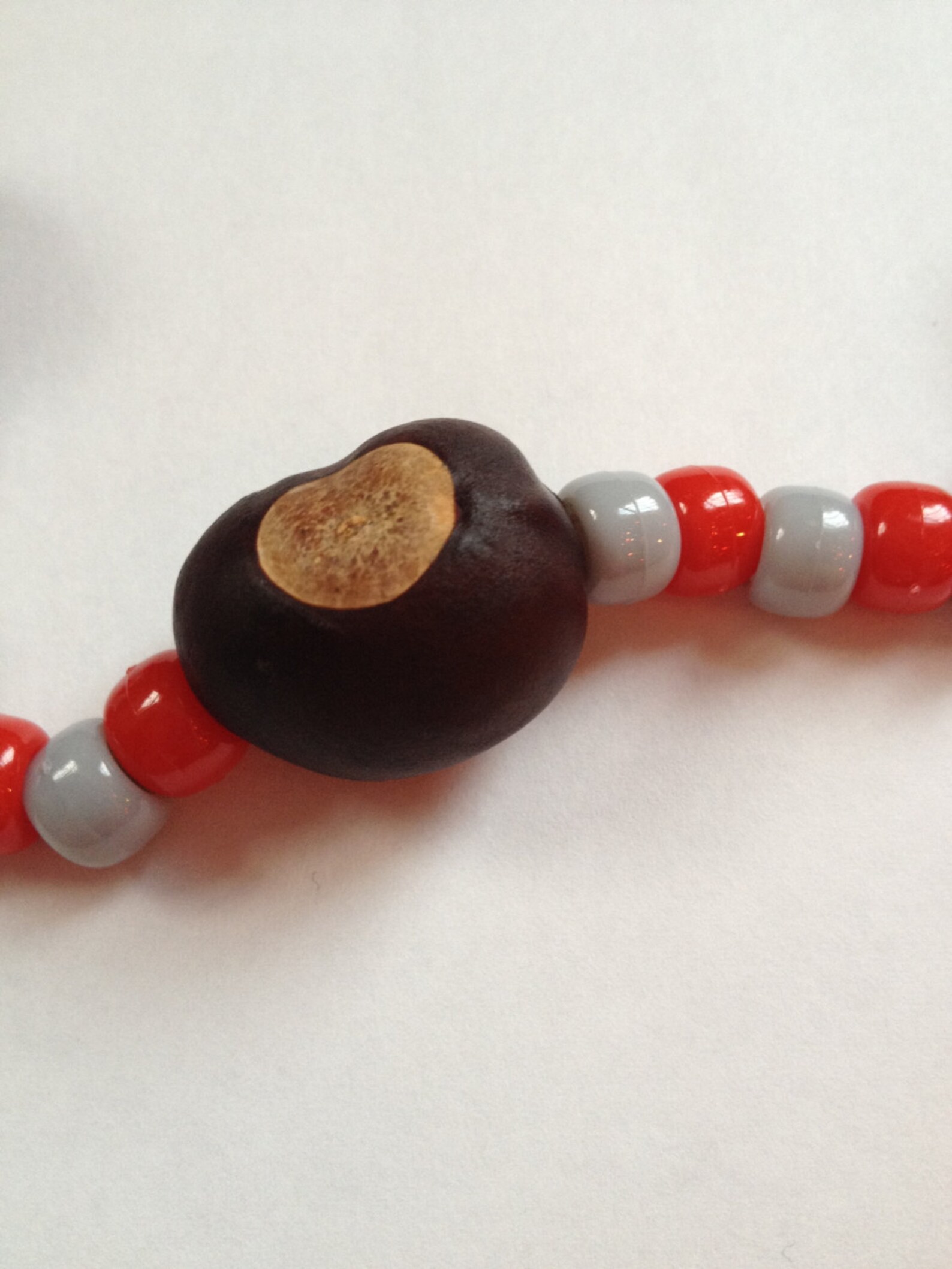 Ohio State Buckeyes Necklace; Real Buckeyes - Etsy