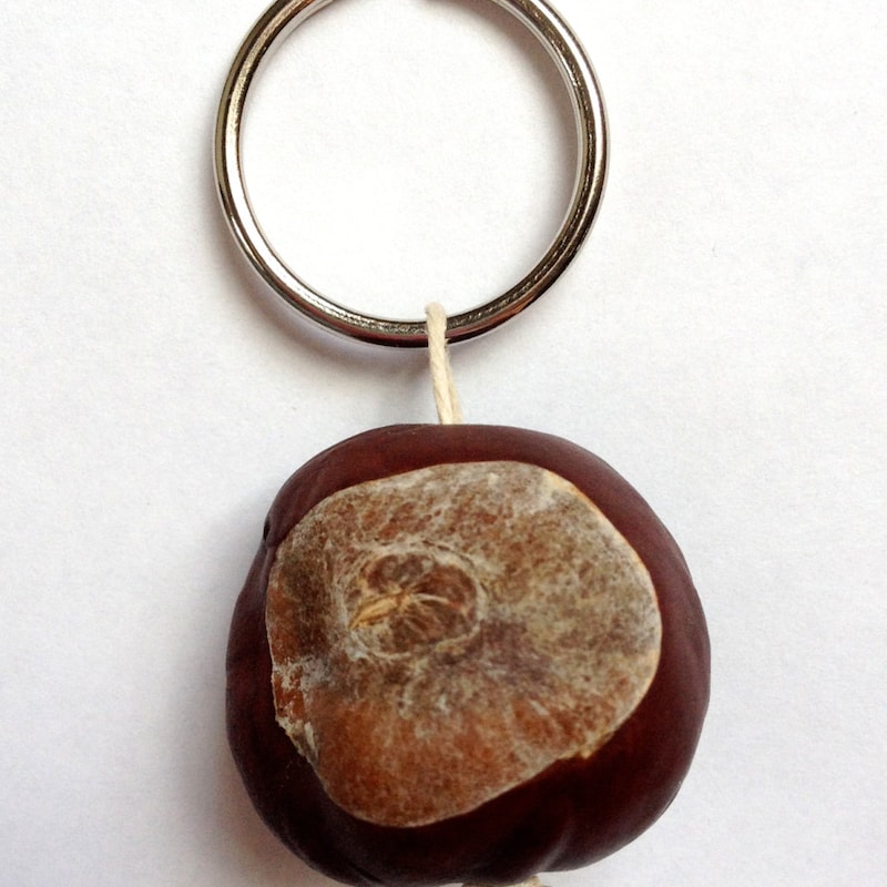 Buckeye Keychain - Etsy