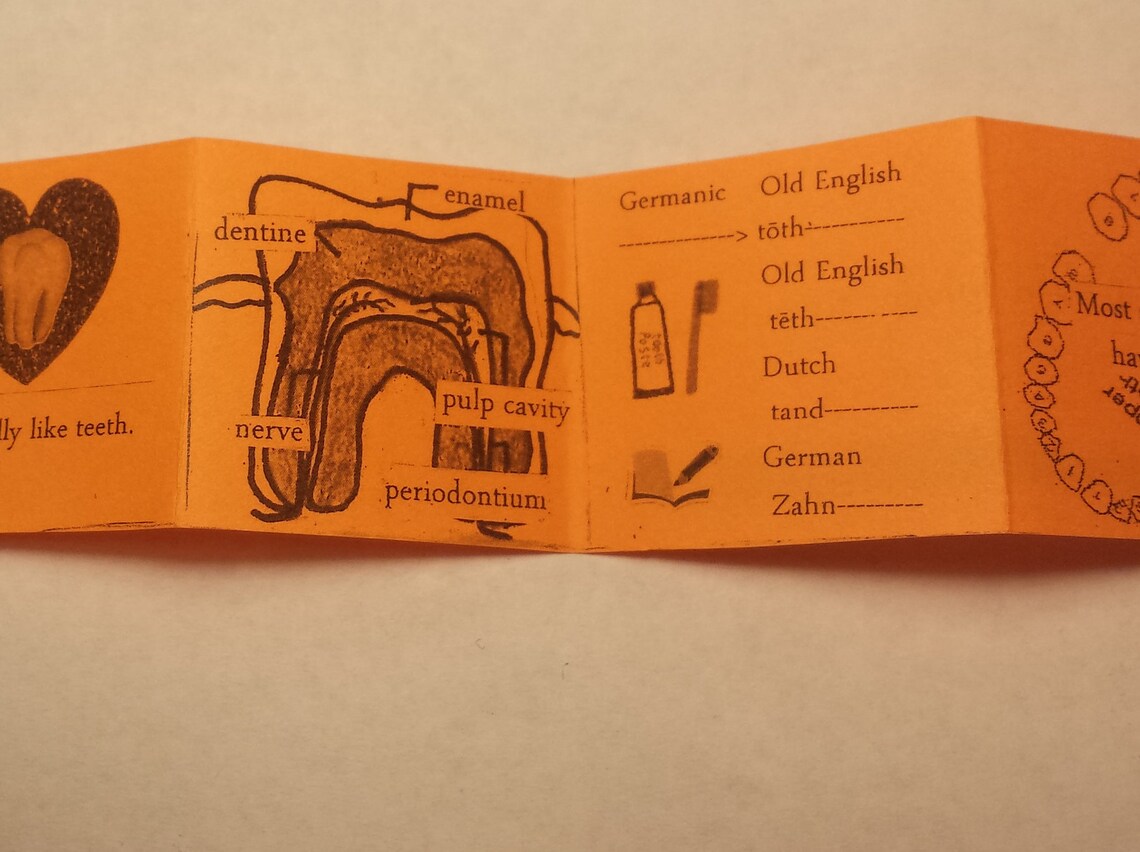 Toof/teef: a Zine About Teeth - Etsy