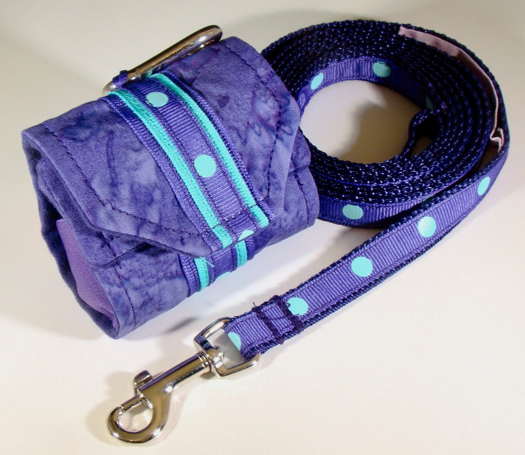 Leash & Poo Bag Dispenser Set, Purple / Teal - Etsy