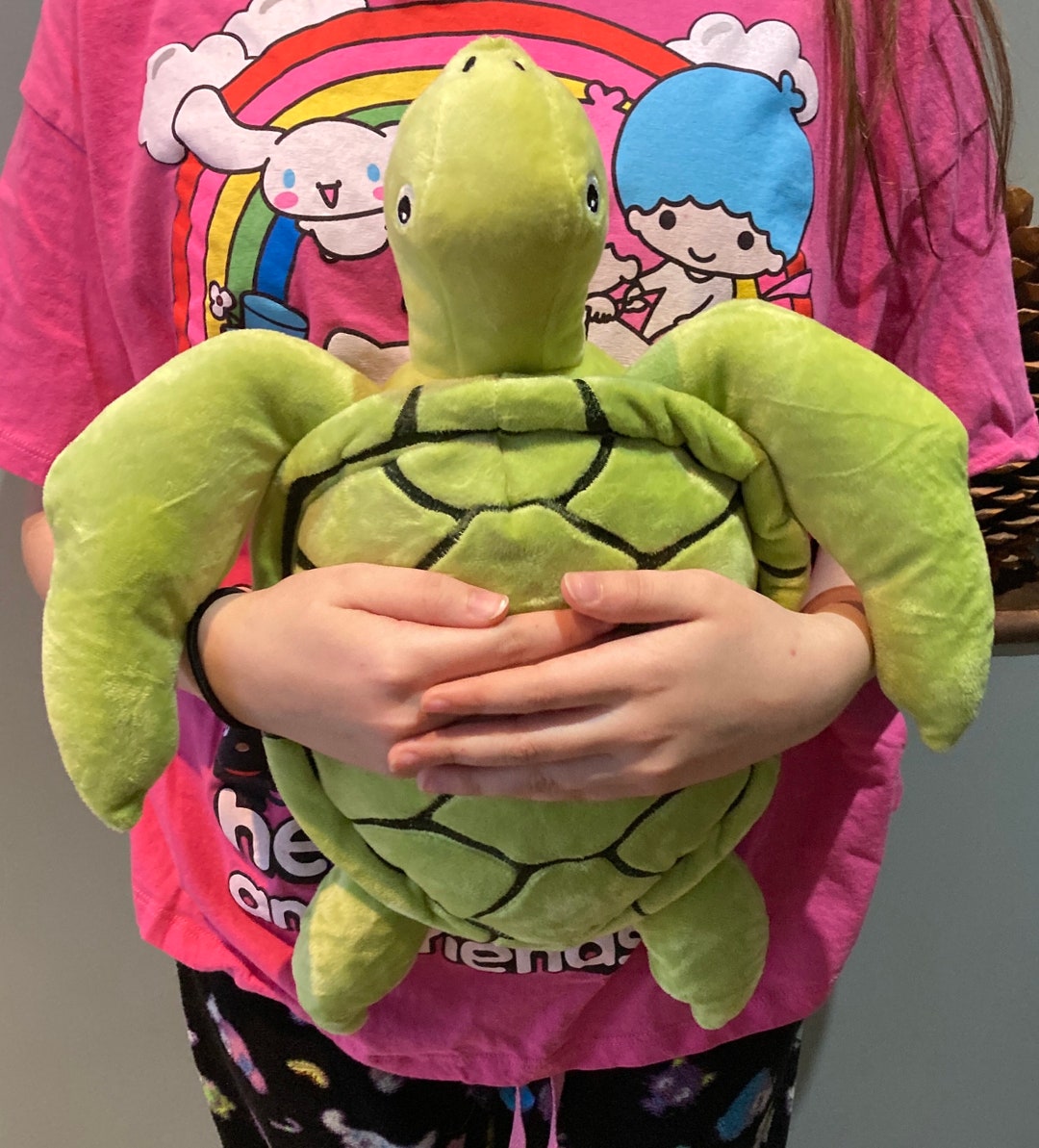Comfort Turtle Green Small Memory Weighted Stuffed Animal Infant Loss ...