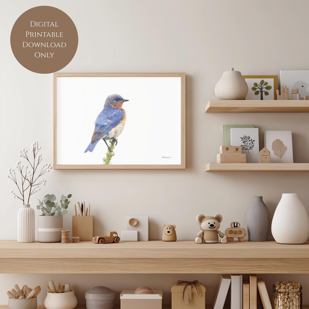 Bluebird Minimalist Wall Art, Cottagecore Bird Print (digital Download ...
