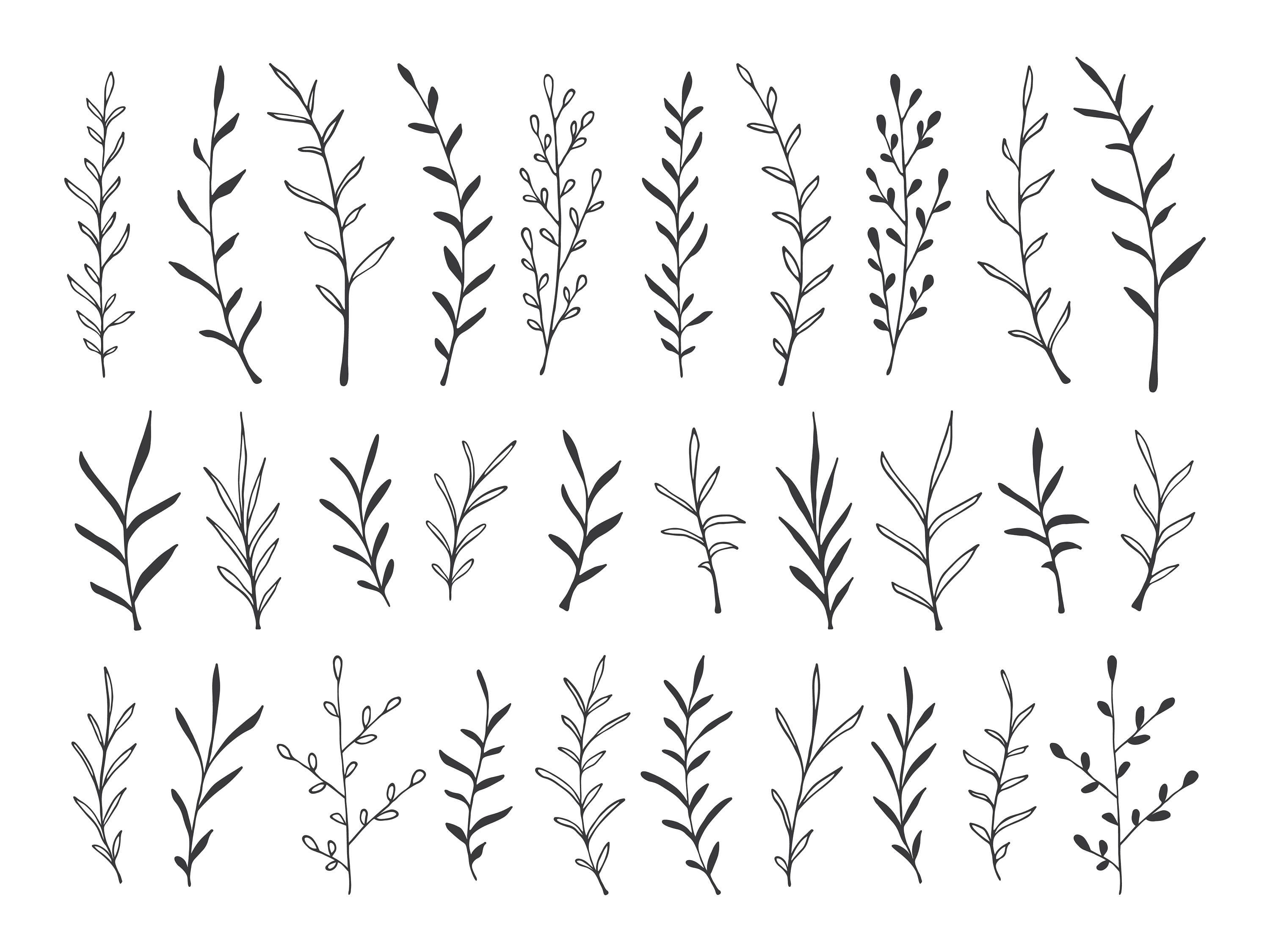 30 Hand Drawn Botanical Decorative Design Elements. Leafy, Botanical ...