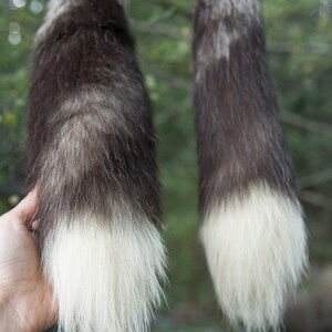 1950's Wool + Fox Tail Scarf, Fox Fur Stole, Fur Trimmed Shawl Wrap ...