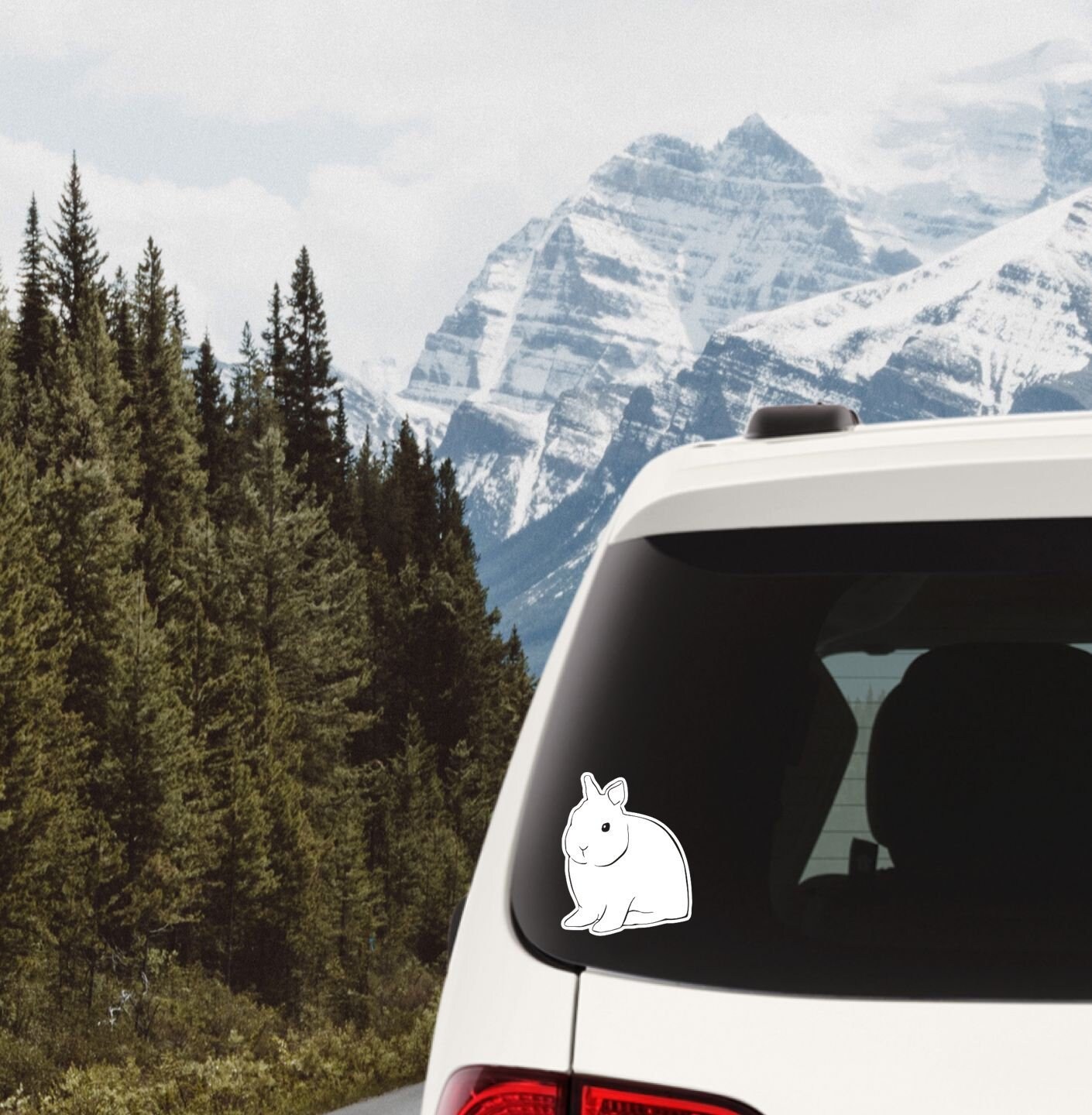 Dwarf Rabbit Custom Vinyl Decal Sticker Choose your Color | Etsy