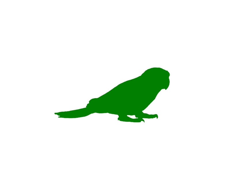Conure Decal Sticker Vinyl Choose Your Color and Size - Etsy