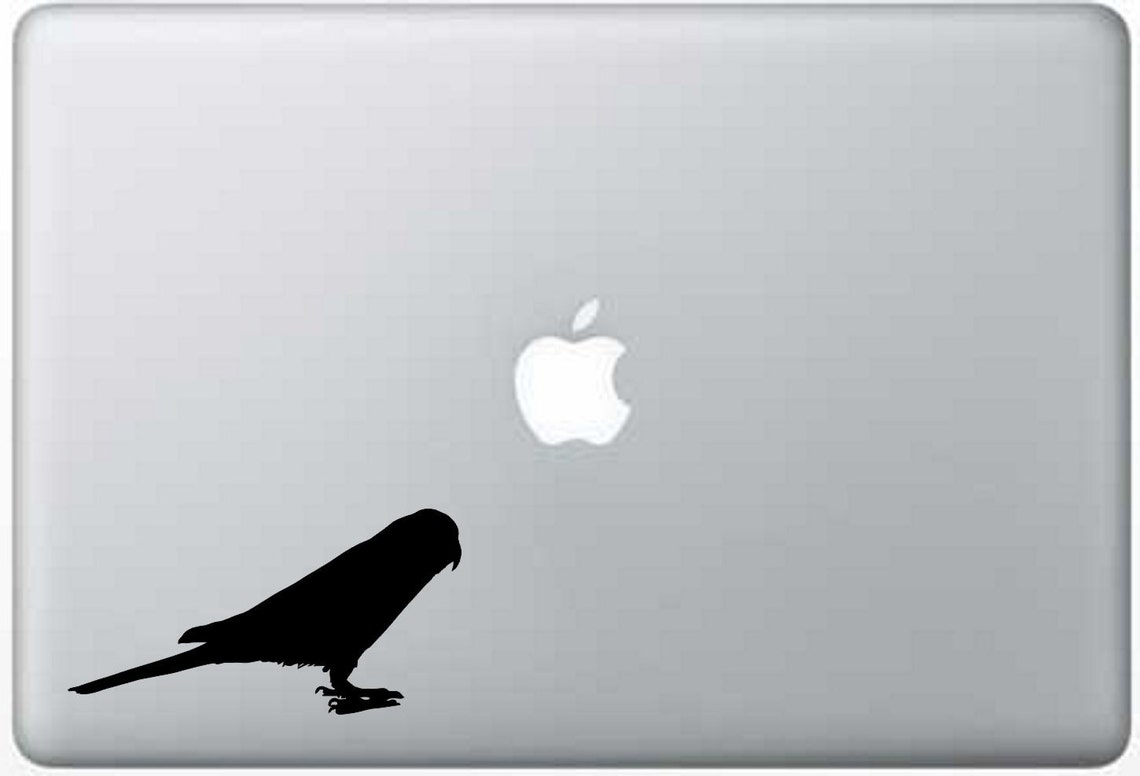 Quaker Parrot Vinyl Decal Sticker Choose Your Color and Size - Etsy