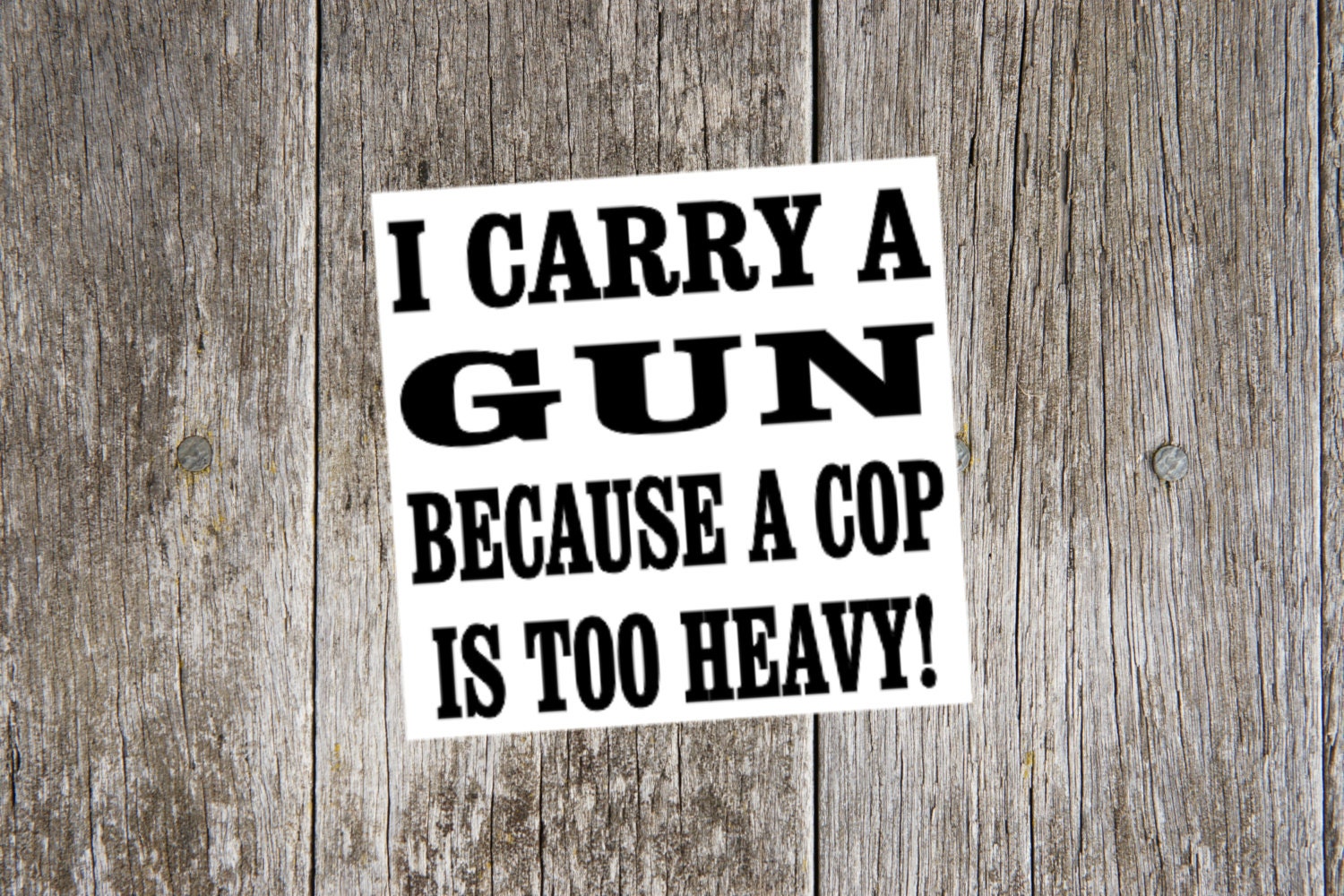 Funny Pro Gun Quotes
