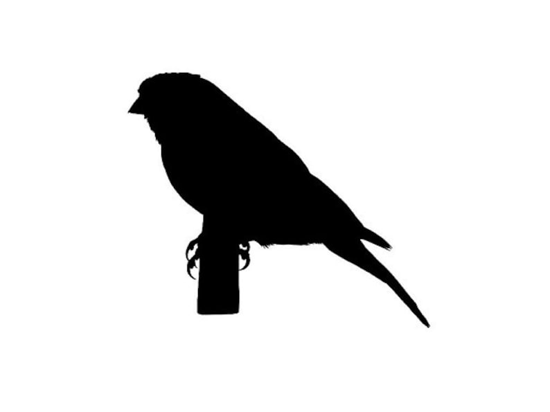 Canary Silhouette Custom Vinyl Decal Sticker Choose Your - Etsy