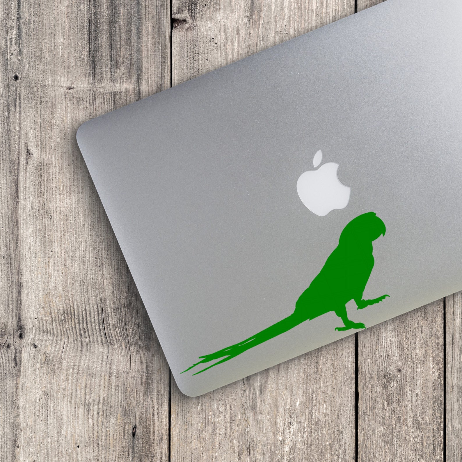 Macaw V4 Silhouette Custom Vinyl Decal Sticker - Choose Your Color and ...