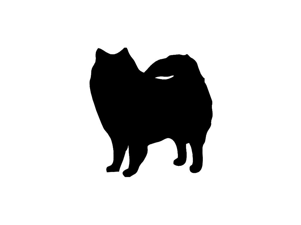 American Eskimo Dog Silhouette Custom Vinyl Decal Sticker - Choose Your ...