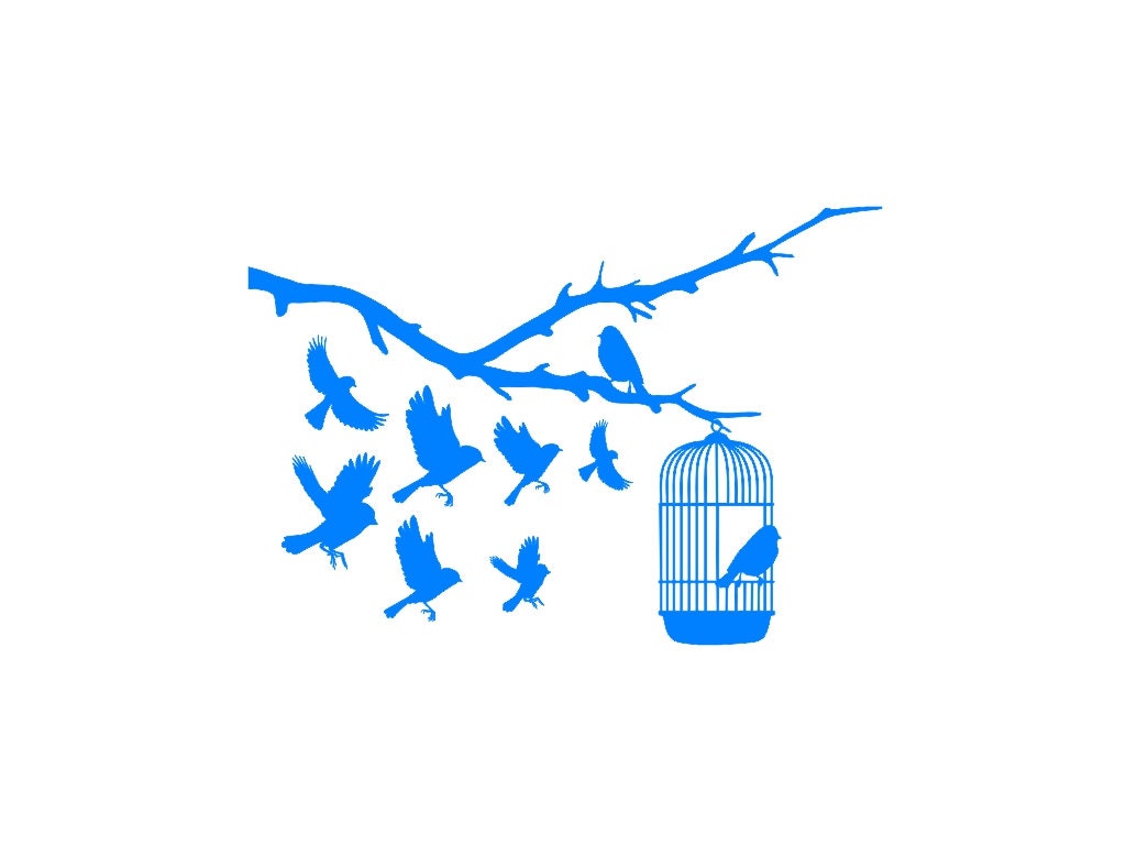 Free Birds Wall Decal - Choose Your Size and Color - Cage Wall Decal ...