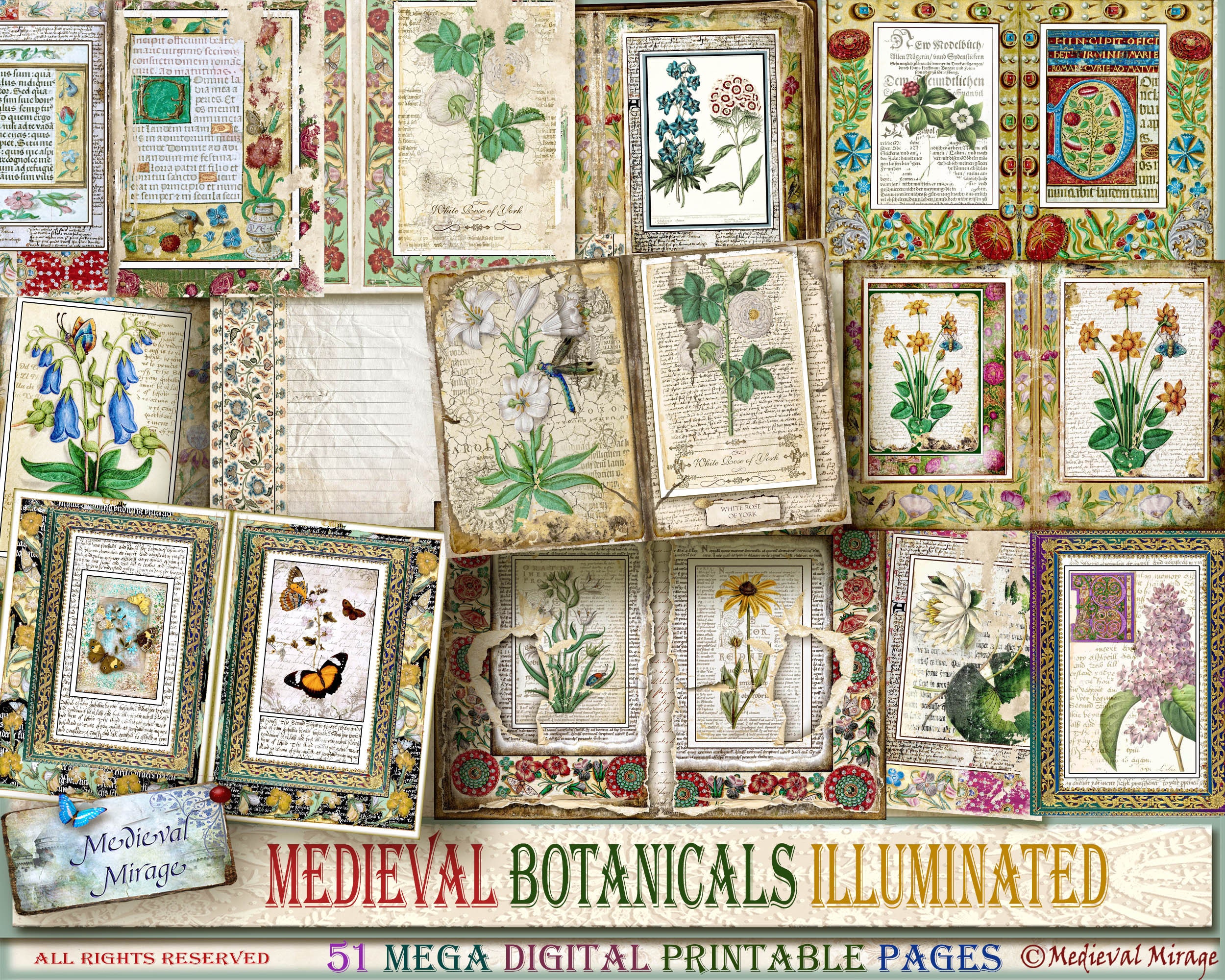 MEDIEVAL BOTANICALS Illuminated: 51 Digital Printable Pages ...
