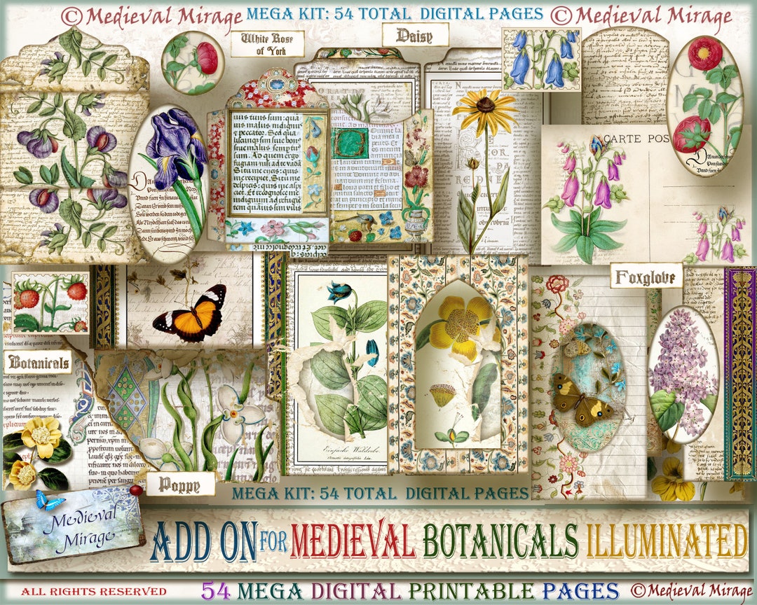 ADD on for MEDIEVAL BOTANICALS Illuminated: 54 Digital Printable Pages ...