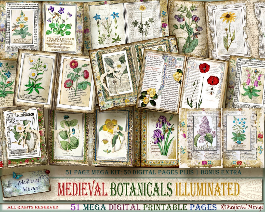 MEDIEVAL BOTANICALS Illuminated: 51 Digital Printable Pages ...
