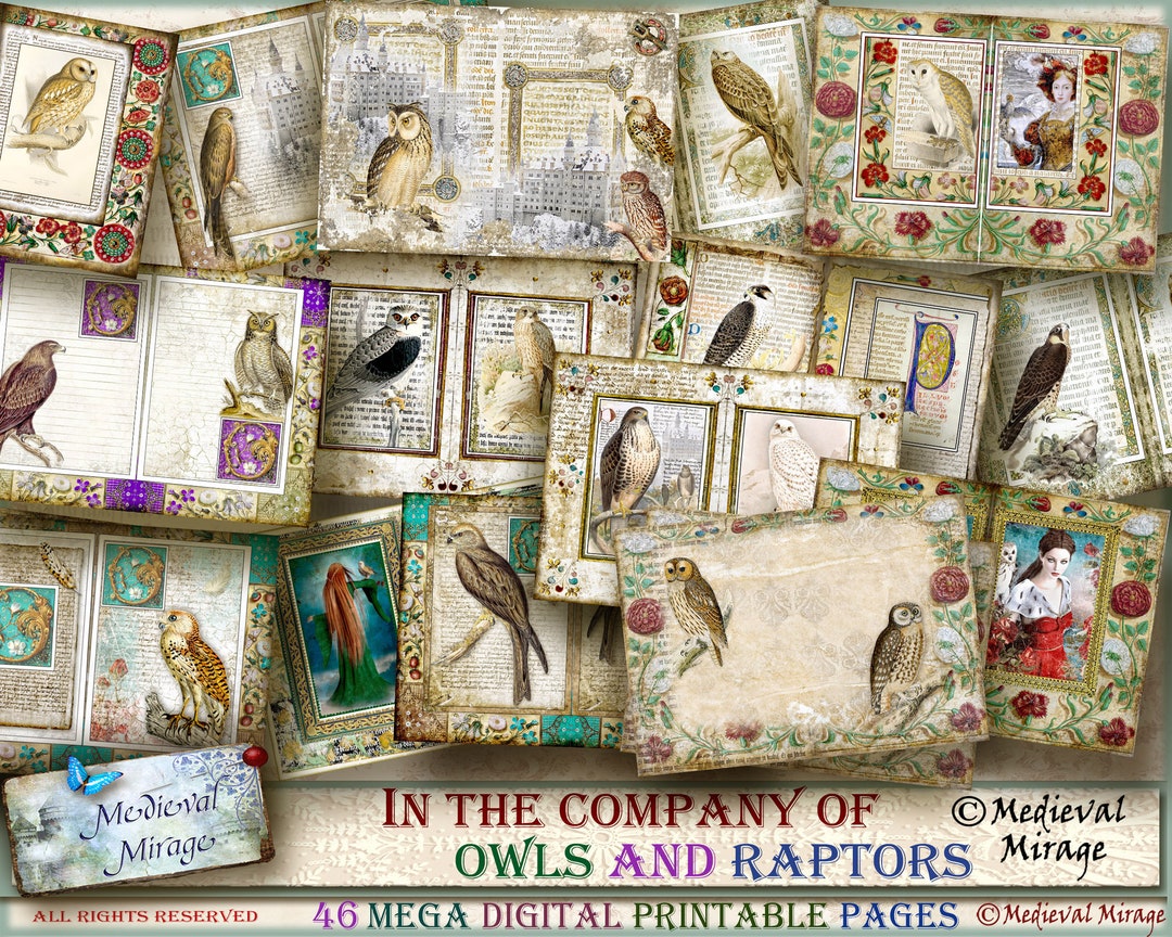In the COMPANY of OWLS & RAPTORS. Birds of Prey, Woodland, Forest Birds ...