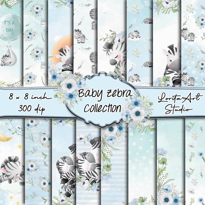 Cute Baby Zebra, Baby Boy Digital Paper Pack, Baby Boy Collection ...