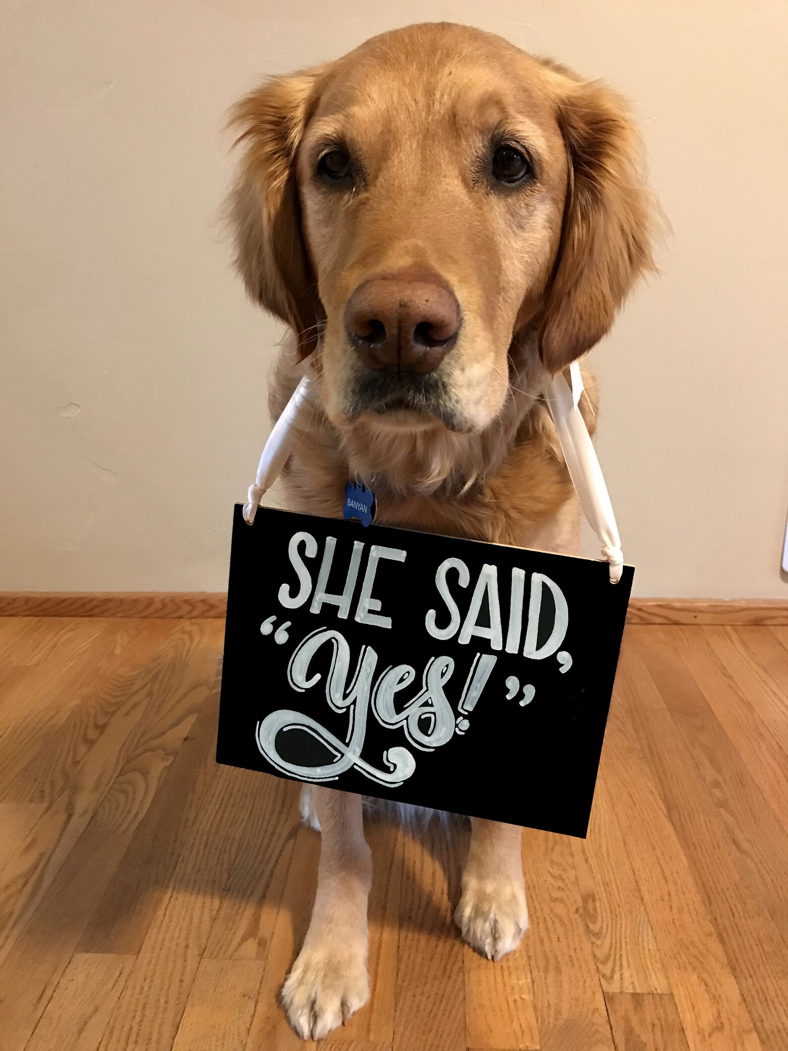 She Said Yes Engagement Sign Engagement Chalkboard Dog | Etsy