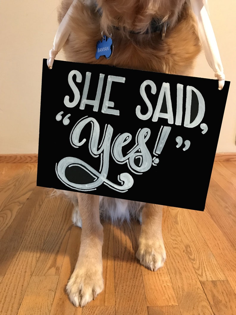 Dog Engagement Photos Sign at Charles Casale blog