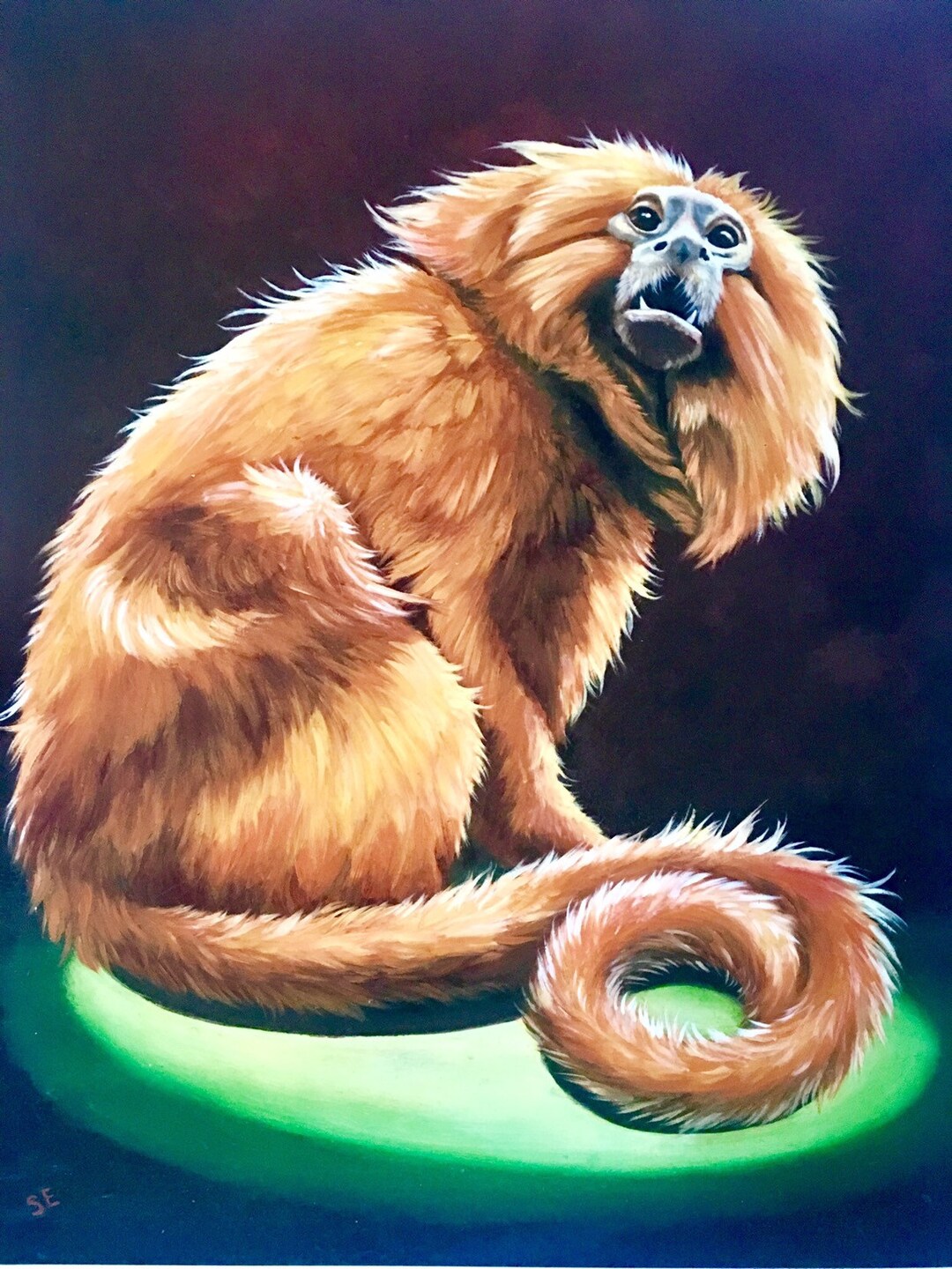 Golden Lion Tamarin Print of Original Oil Painting - Etsy