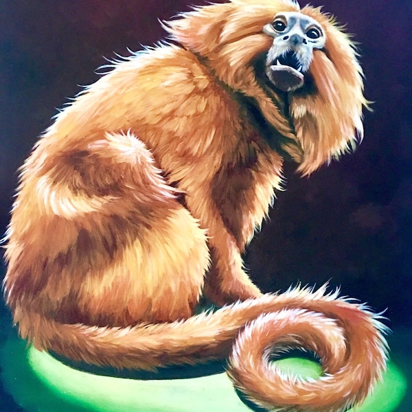 Tamarin - Etsy
