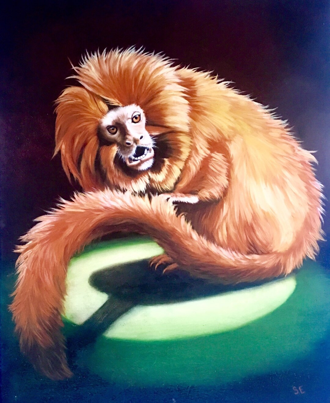 Golden Lion Tamarin Print of Original Oil Painting - Etsy