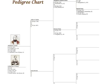 Pedigree chart | Etsy