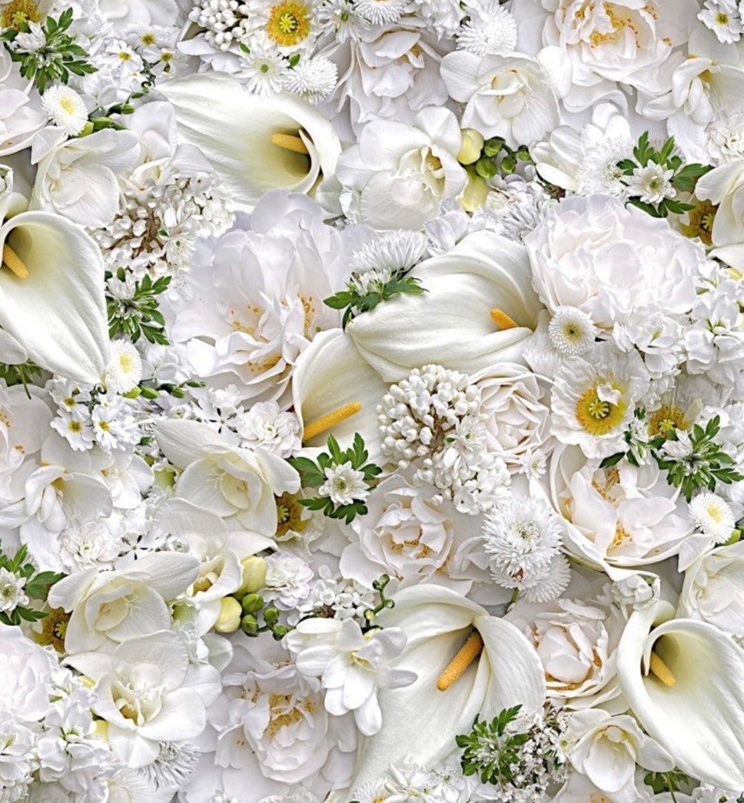 Maywood Studio Handpicked Forget Me Not White Out Masd10322-wcotton ...