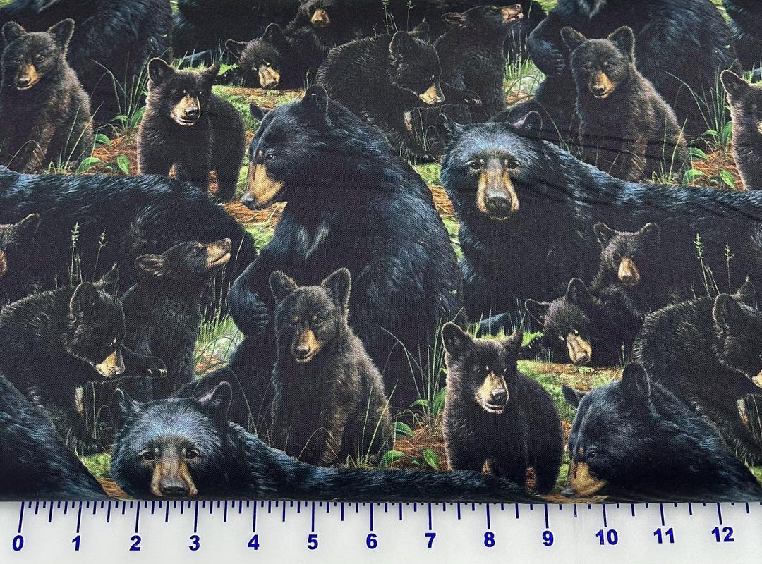 Northcott Bear's Den Bear Packed Bears DP27623-99 Cotton Fabric - Etsy