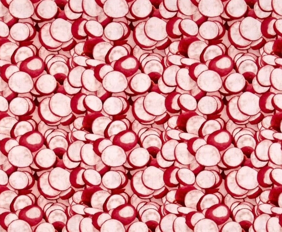 Paintbrush Studio Market Medley Sliced Radishes Multi PSF120-17801 ...