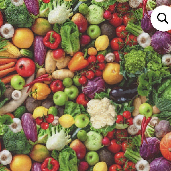 Vegetable Fabric - Etsy