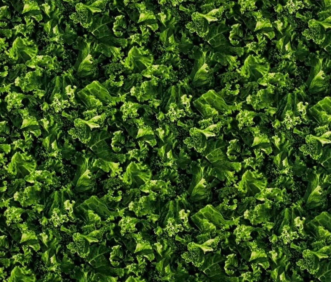 Paintbrush Studio Market Medley Sliced Kale PSF120-17401 Cotton Fabric ...