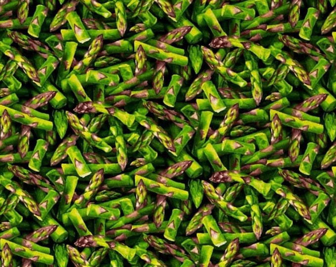 Paintbrush Studio Market Medley Sliced Asparagus PSF120-17101 Cotton ...