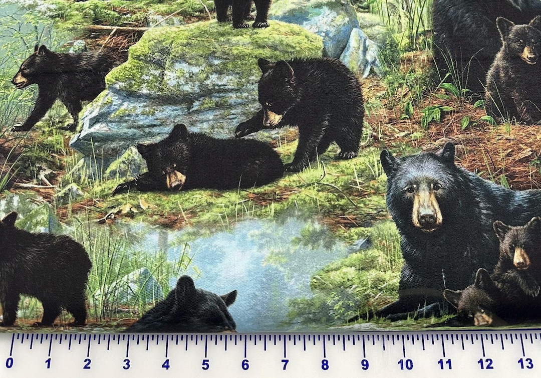 Northcott Bear's Den Bear Scenic DP27622-99 Cotton Fabric - Etsy