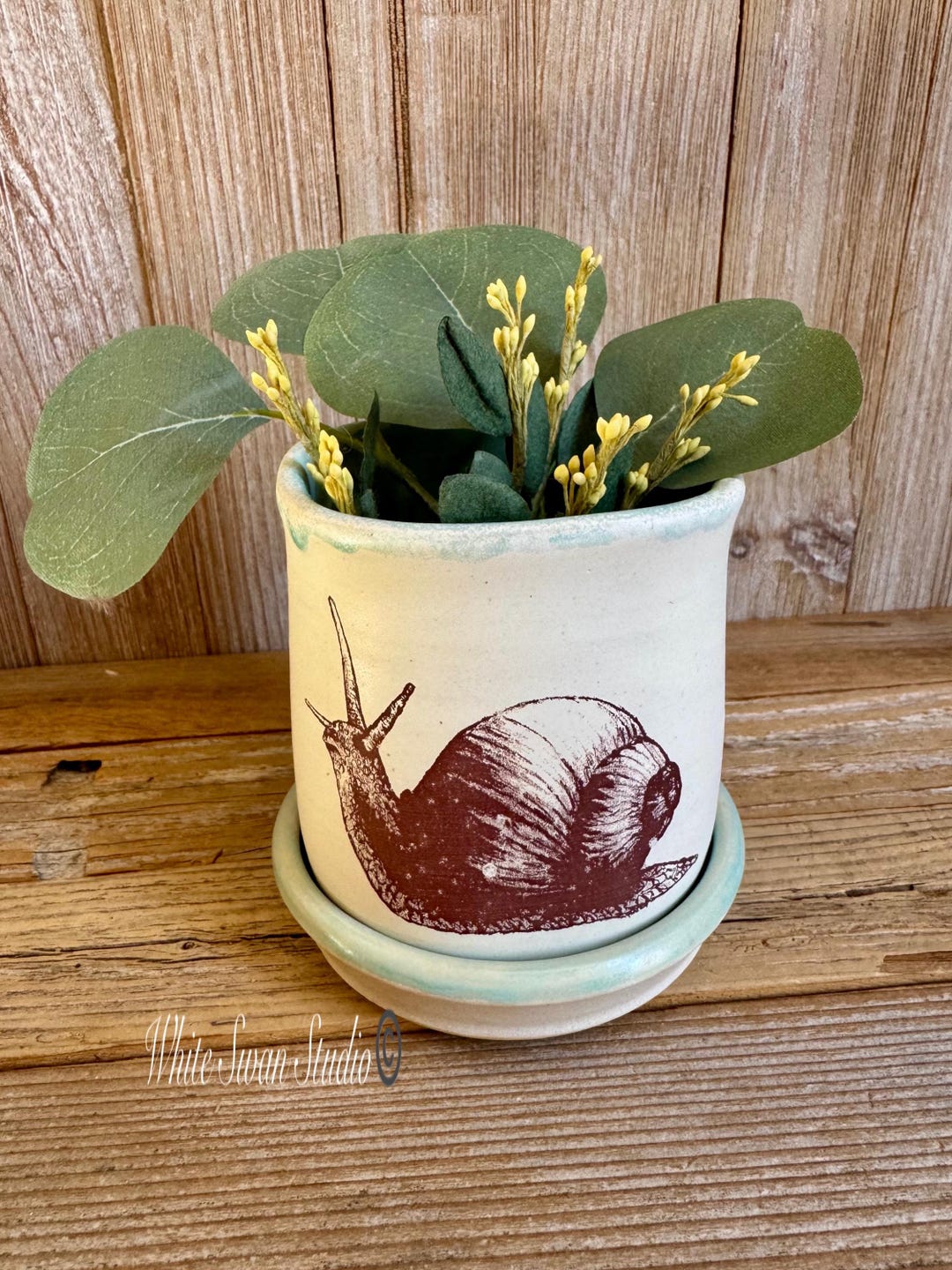 Snail Succulent Planter, Saucer, Drain Holes, Small Planter, Ceramic ...