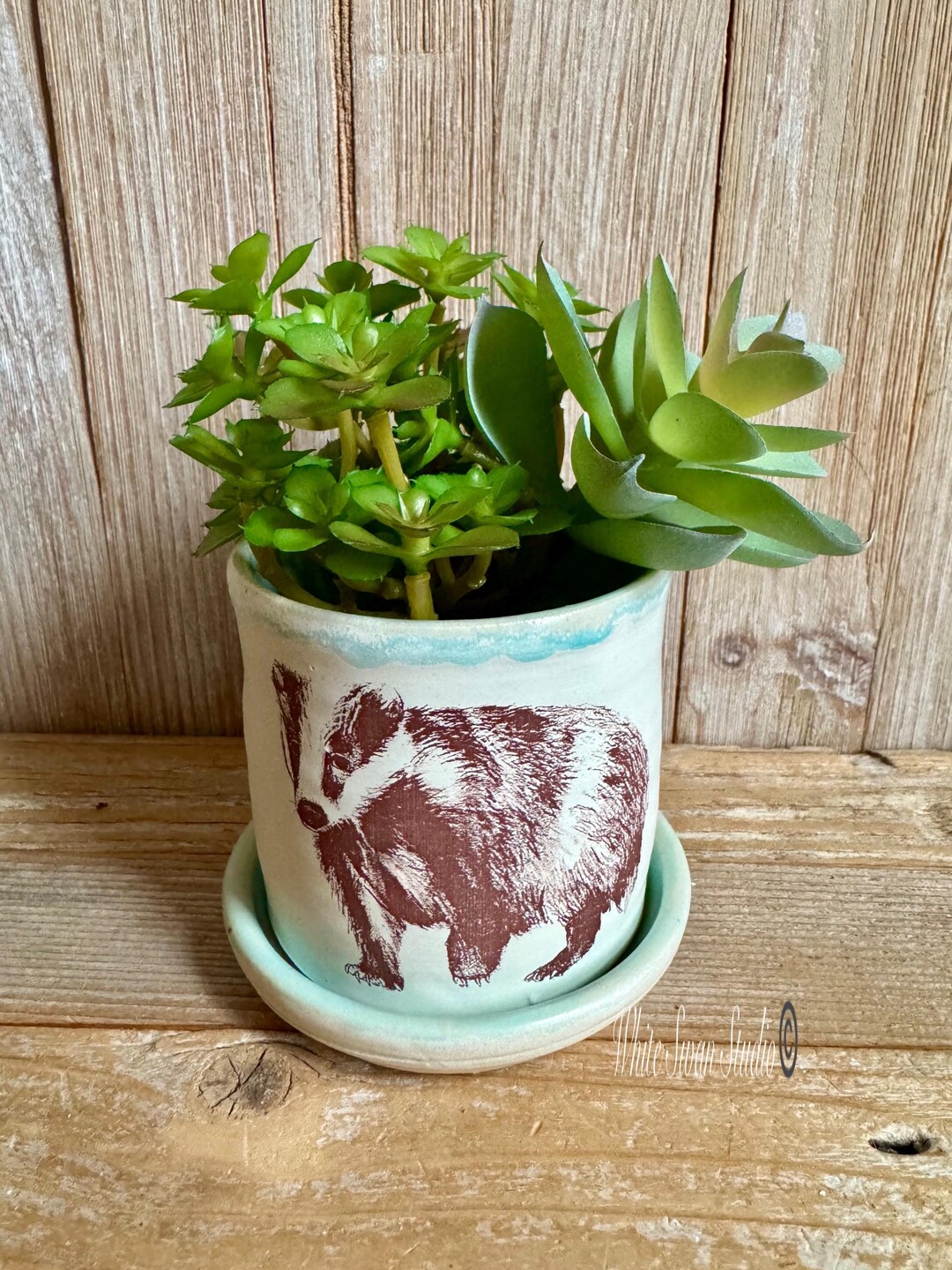English Badger Succulent Planter, Saucer, Drain Holes, Small Planter ...
