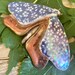Porcelain Moth Scatter Pin in Blue Florals and Copper Mother - Etsy