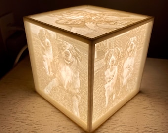 3d Printed Light Box - Etsy