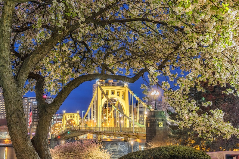 A Springtime Frame in Pittsburgh - Various Prints - Etsy