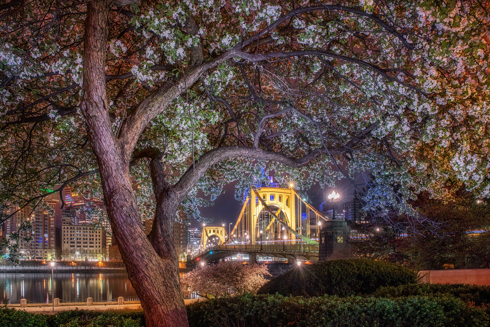 A Springtime Frame in Pittsburgh - Round 2 - Various Prints - Etsy