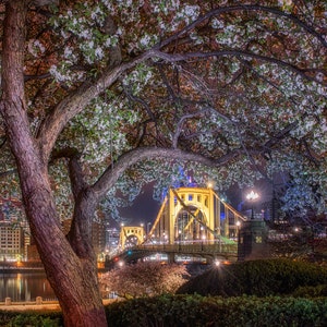 A Springtime Frame in Pittsburgh Round 2 Various Prints - Etsy