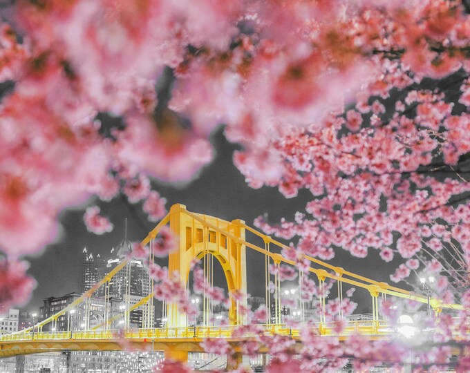 Pittsburgh Skyline - DaveDiCello