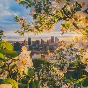 Spring in Pittsburgh Framing the Skyline Various Prints - Etsy