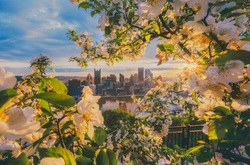Spring in Pittsburgh Framing the Skyline Various Prints | Etsy