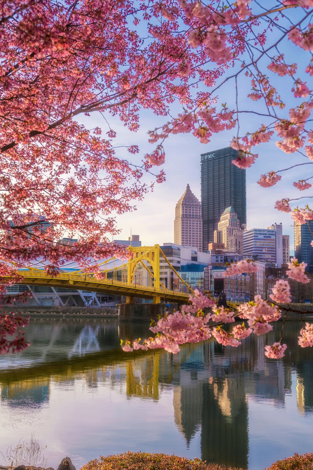 A Spring Frame at Dawn - Pittsburgh Skyline - Various Prints - Etsy