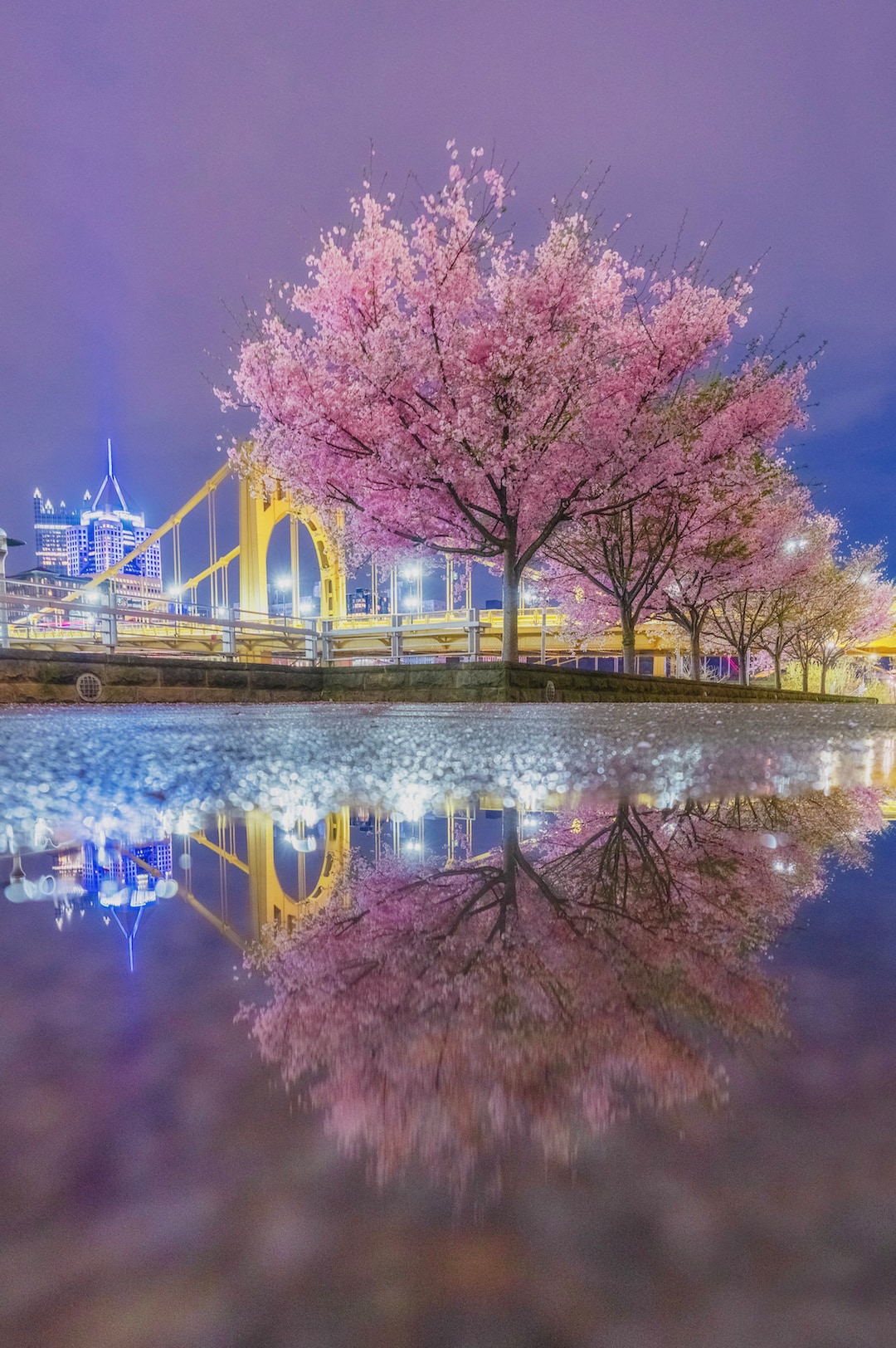 Springtime Reflections at Night - Pittsburgh Skyline - Various Prints ...