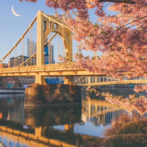 A Springtime Frame Pittsburgh Skyline Various Prints - Etsy